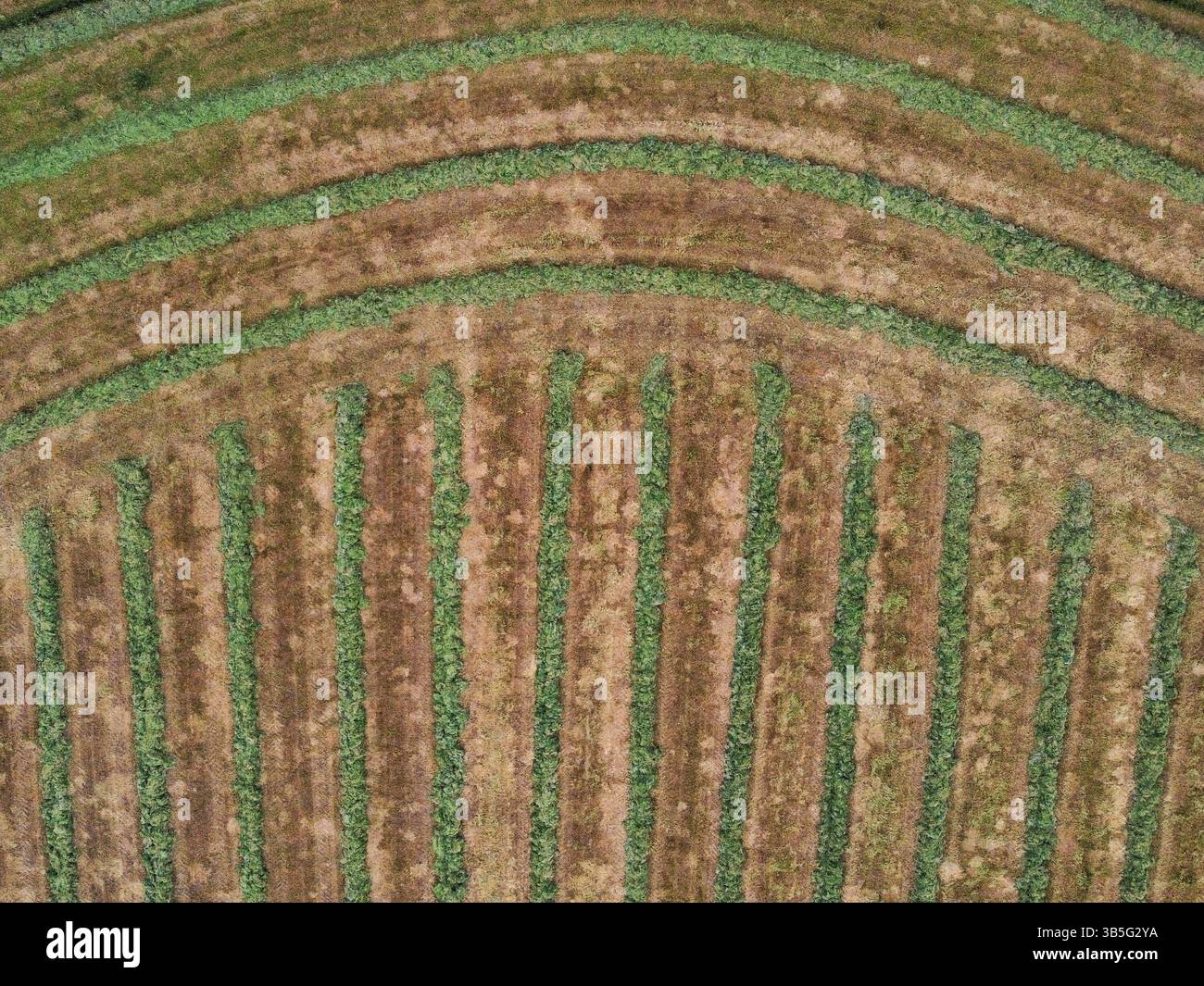 Dunsford, Devon, UK. 2nd May, 2025. UK Weather: Freshly cut grass ...