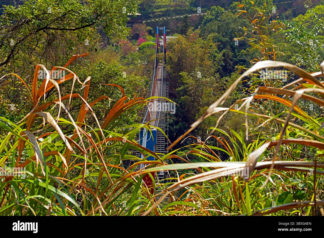 Elevated view of Dabang Suspension Bridge over Yisiji’anna river ...