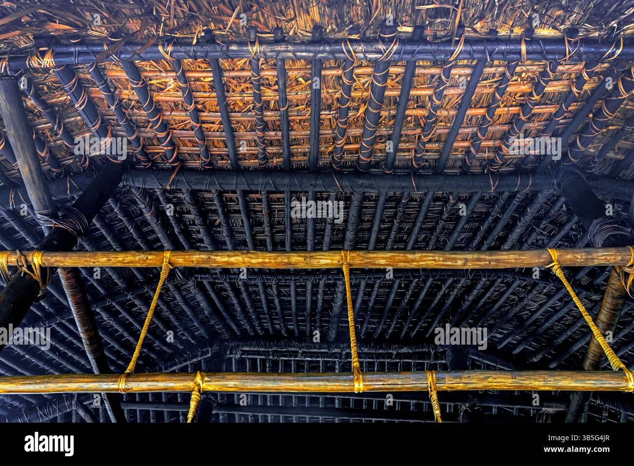 The grass roof looks from the inside. Dabang village, Alishan Township ...