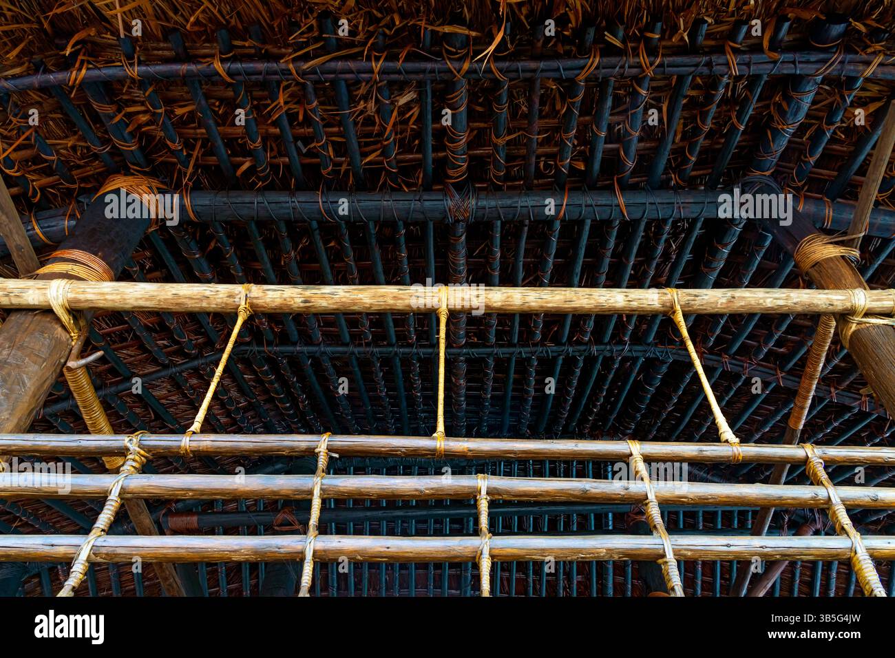 The grass roof looks from the inside. Dabang village, Alishan Township ...