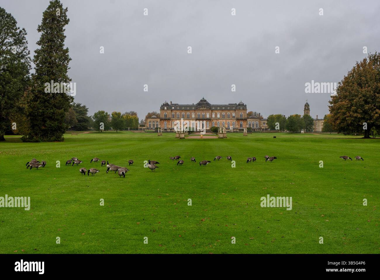 Damian park hi-res stock photography and images - Alamy
