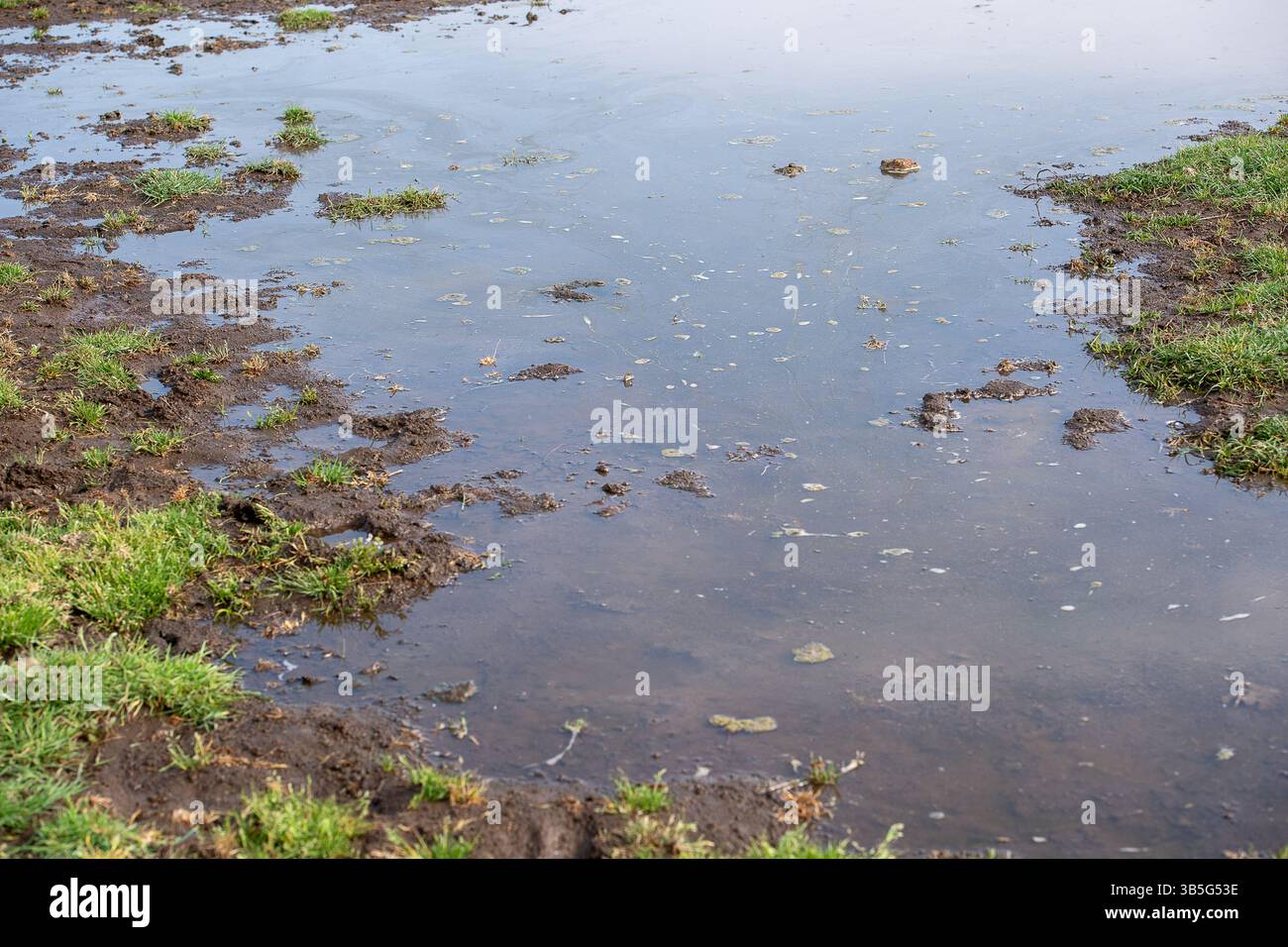 Dorney, UK. 2nd May, 2025. Despite there having been little rain in the past few weeks, there is ...