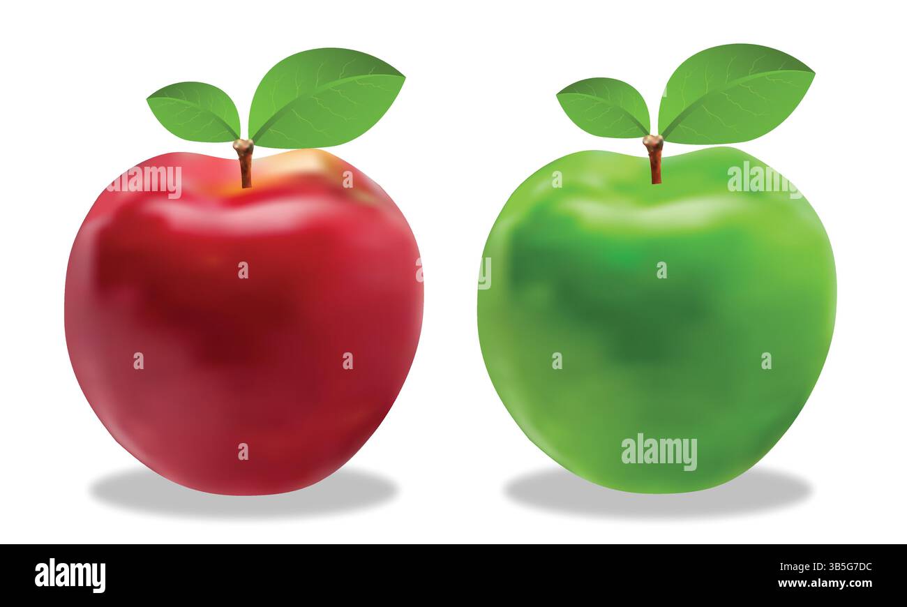 Realistic red and green apples with leaves, isolated on white background – fresh fruit vector ...