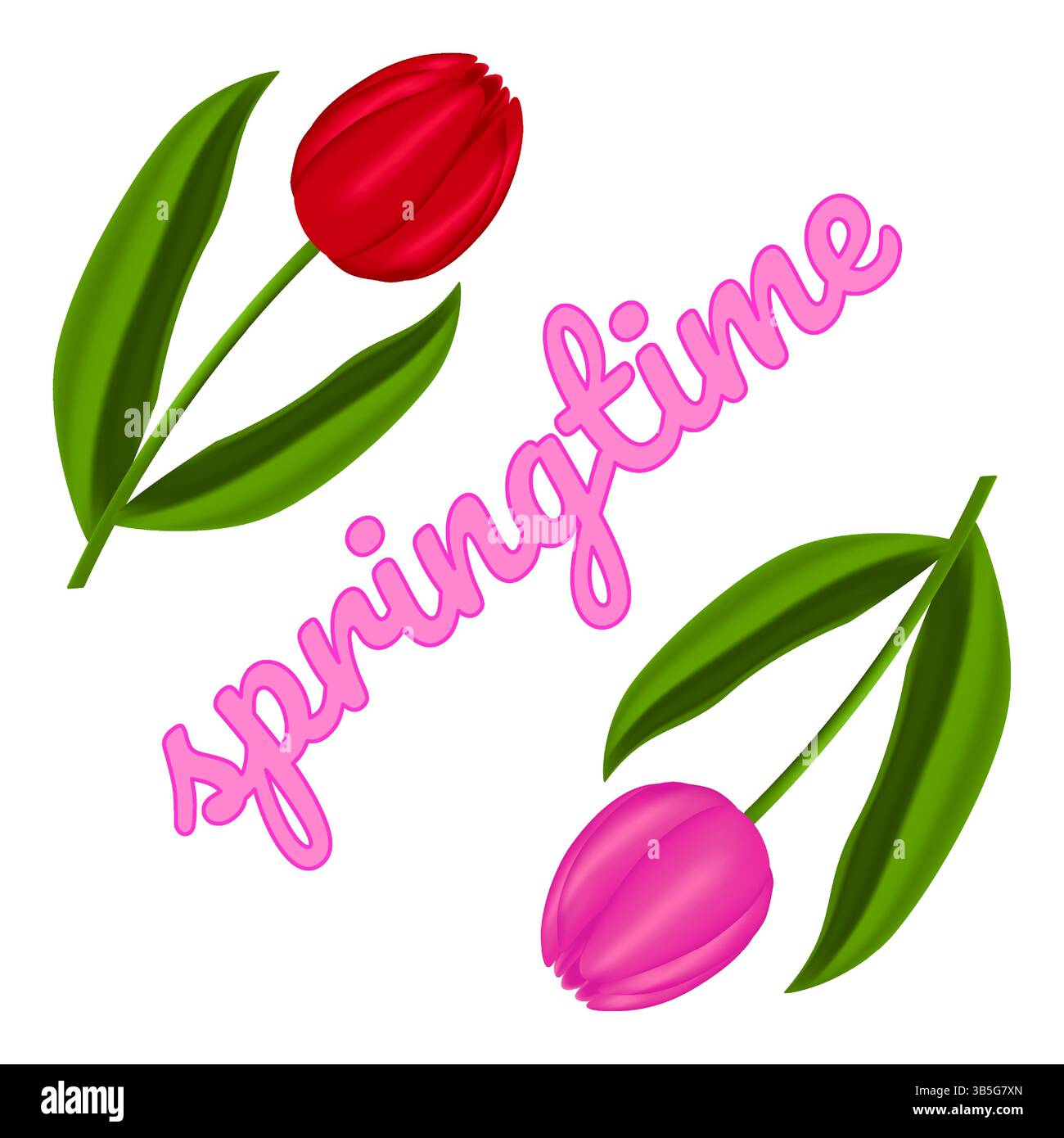 Delicate botanical arrangement Cut Out Stock Images & Pictures - Alamy