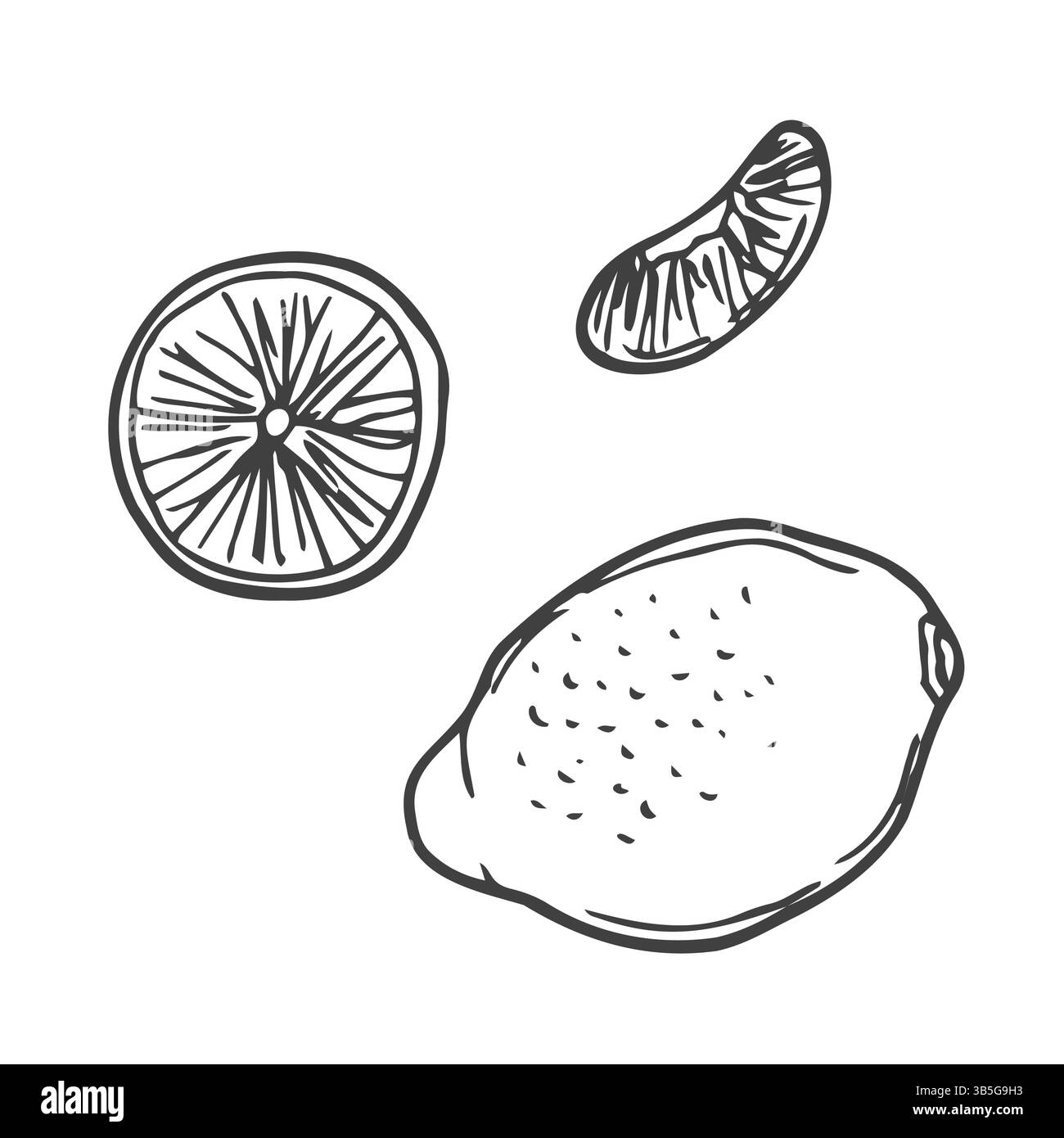 Handdrawn lemon doodle icon illustration for design and web isolated on ...