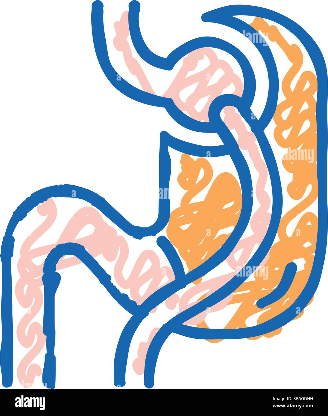 lacing bariatric icon doodle illustration Stock Vector Image & Art - Alamy