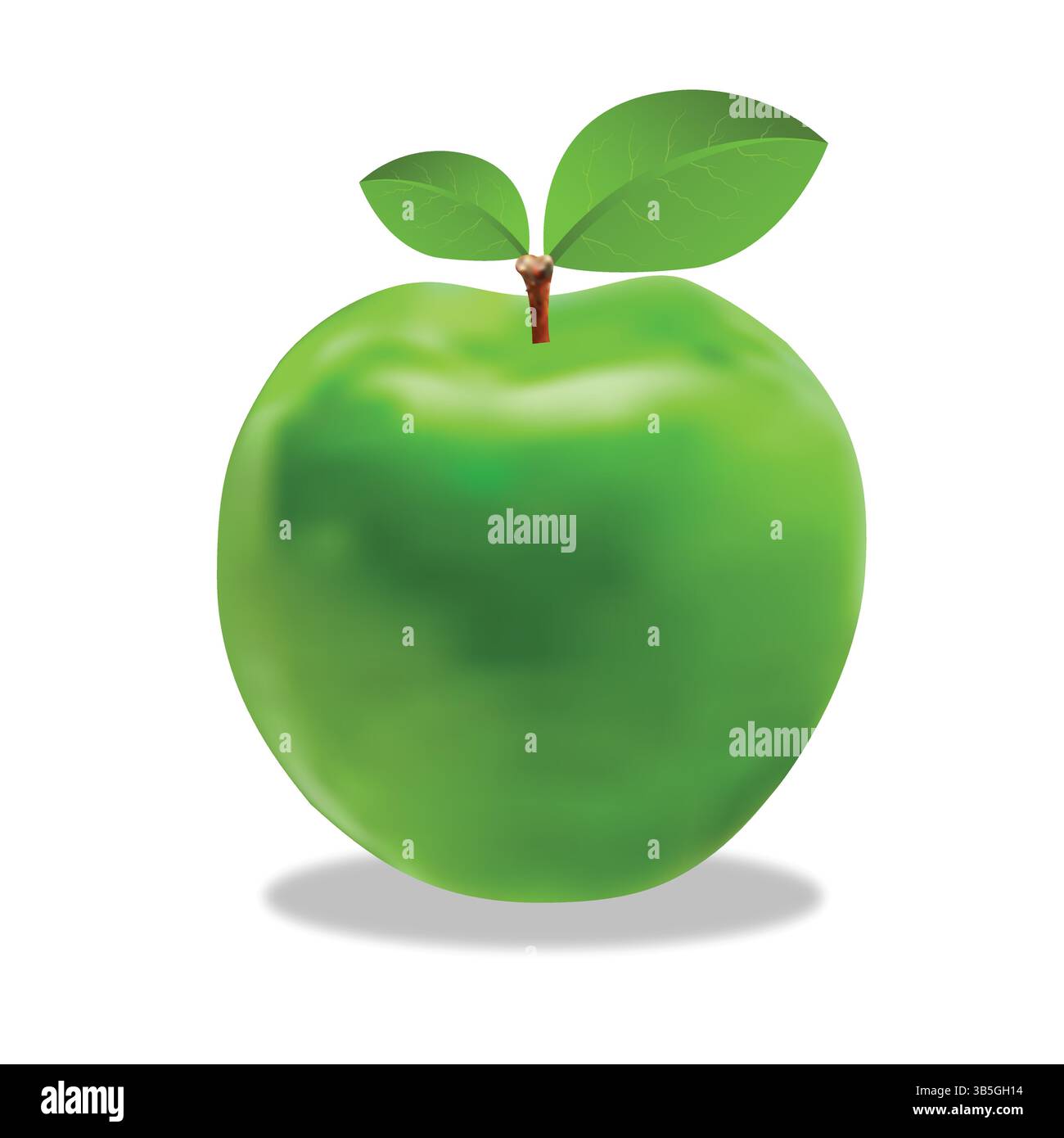 Realistic fruit image Stock Vector Images - Alamy