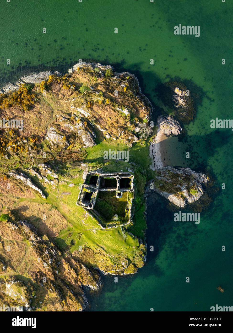 Aerial view from drone of Castle Tioram, a ruined castle on the tidal ...
