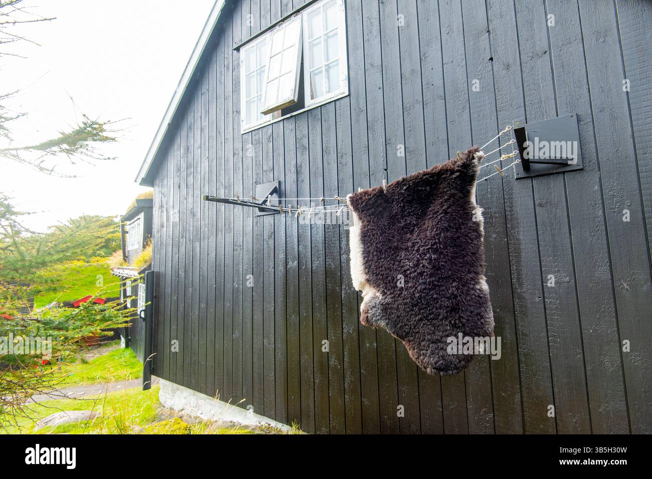Faroese black white sheep hi-res stock photography and images - Alamy