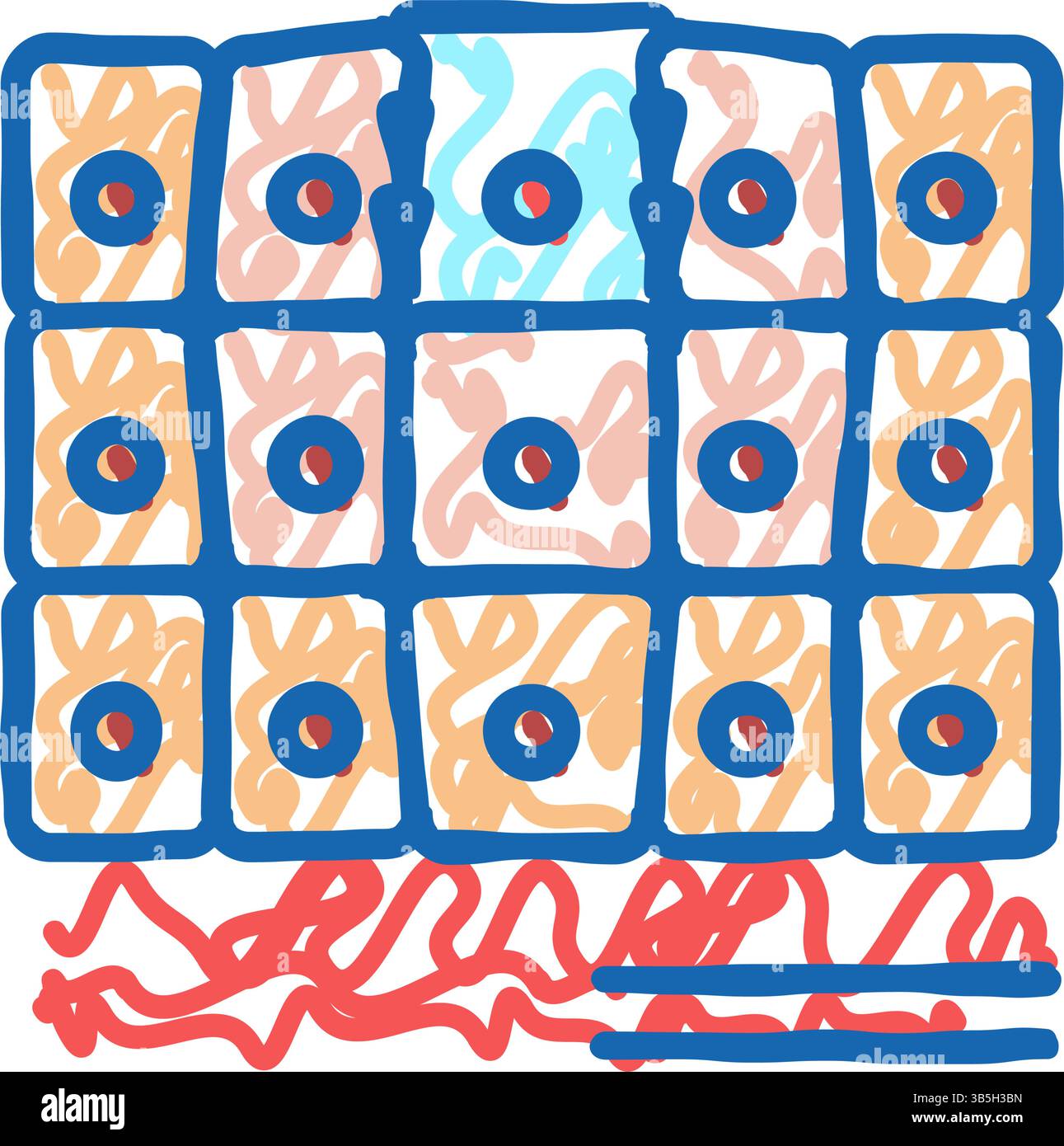 epithelial tissue icon doodle illustration Stock Vector Image & Art - Alamy