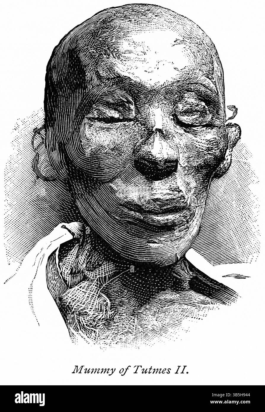 Tutmes pharaoh thutmose thutmose thutmose thutmose hi-res stock ...