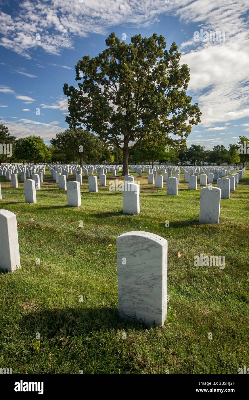 Military branches america hi-res stock photography and images - Alamy