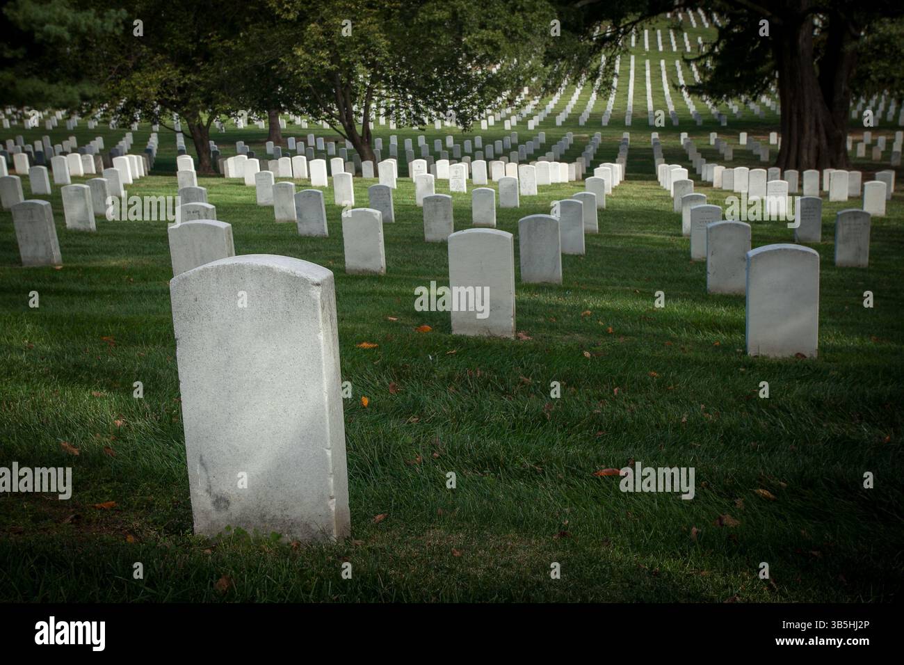 Rows of white headstones in military cemetery Stock Photo - Alamy