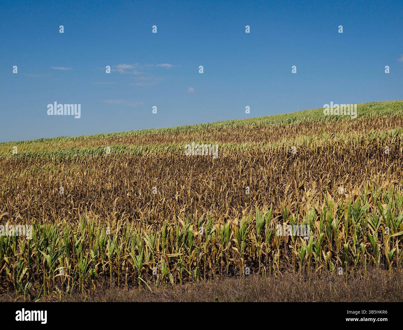 Non irrigated crops hi-res stock photography and images - Alamy