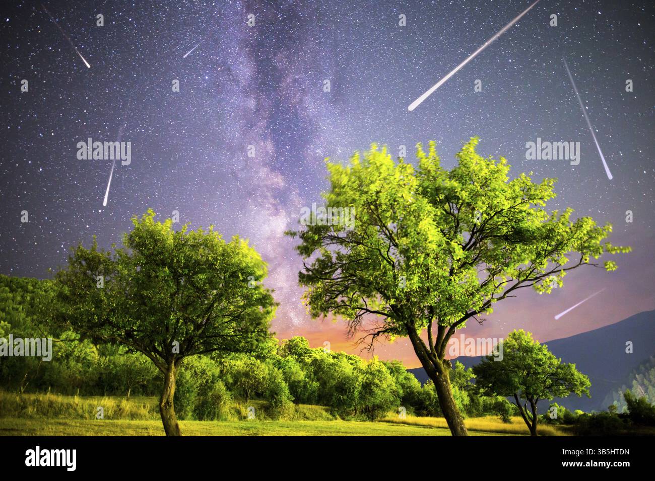 A view of a Meteor Shower and the Milky Way. Green plum trees with ...