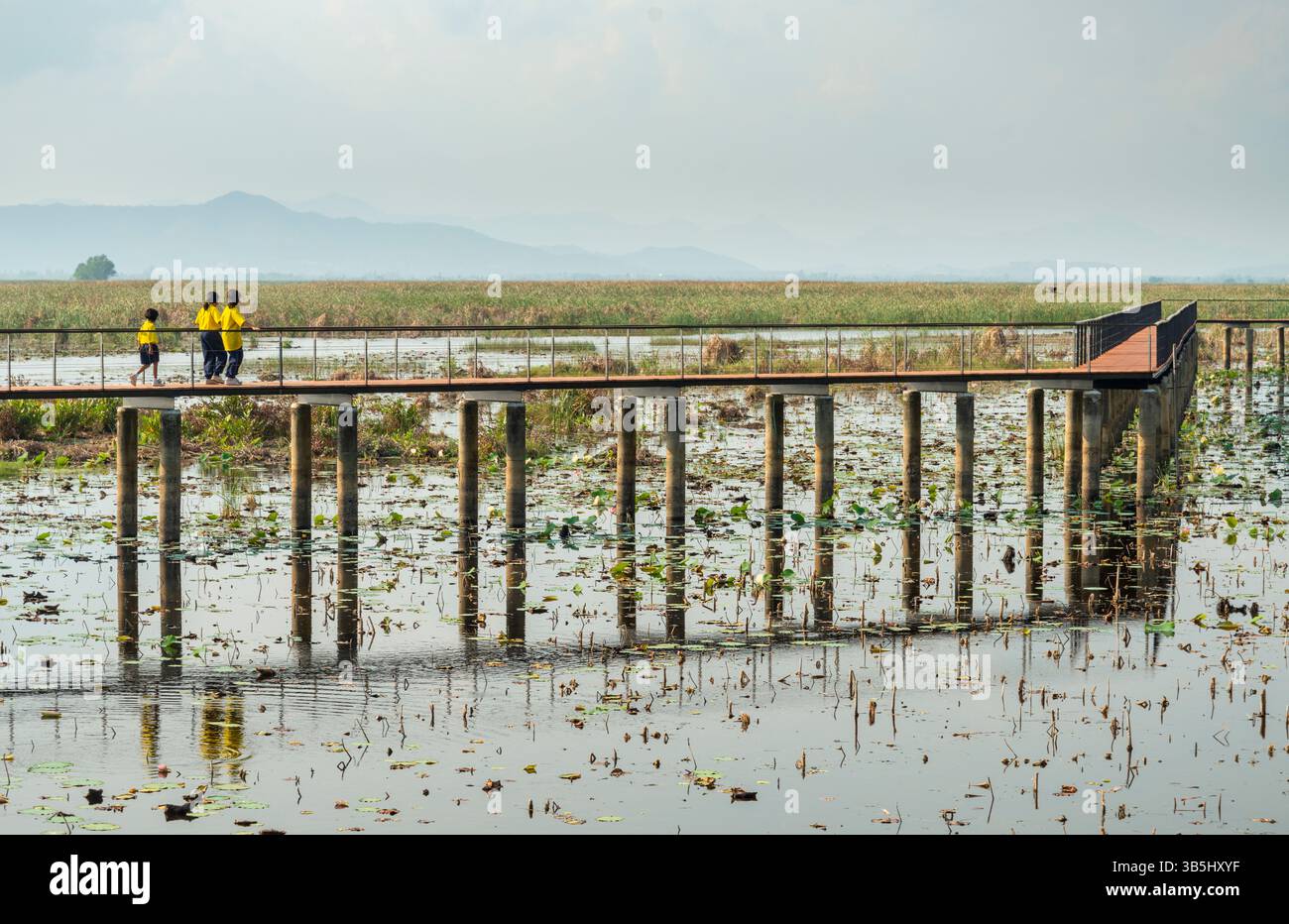 Freshwater Marsh and largest wetlands in Thailand,with mangrove forests ...