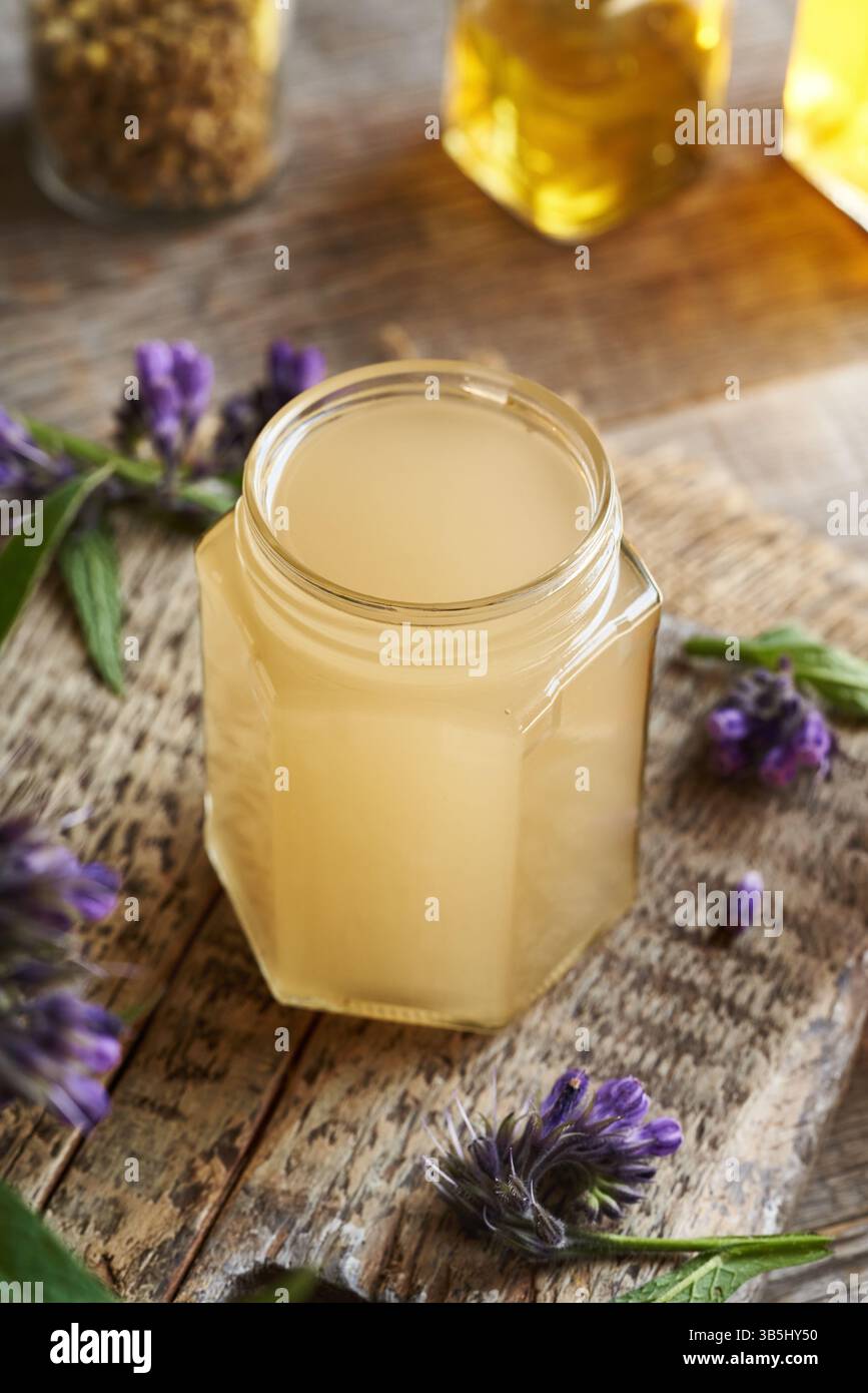 Preparation of comfrey root ointment using hot rendered pork lard Stock ...