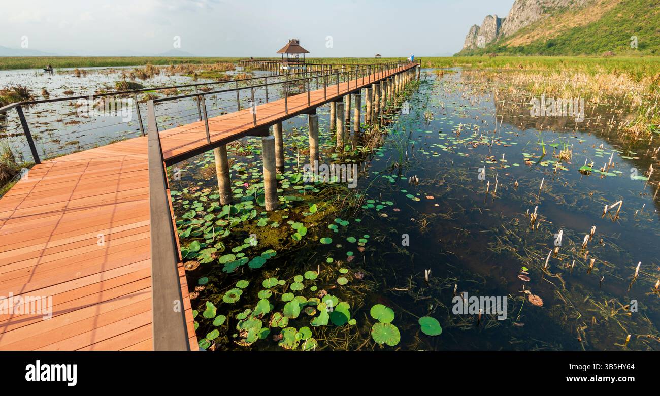 Freshwater Marsh and largest wetlands area in Thailand,with mangrove ...