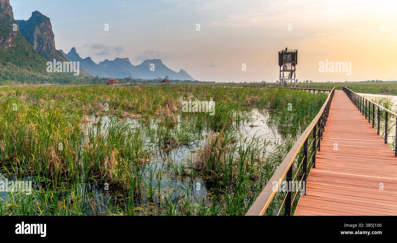 Freshwater Marsh and largest wetlands area in Thailand,with mangrove ...