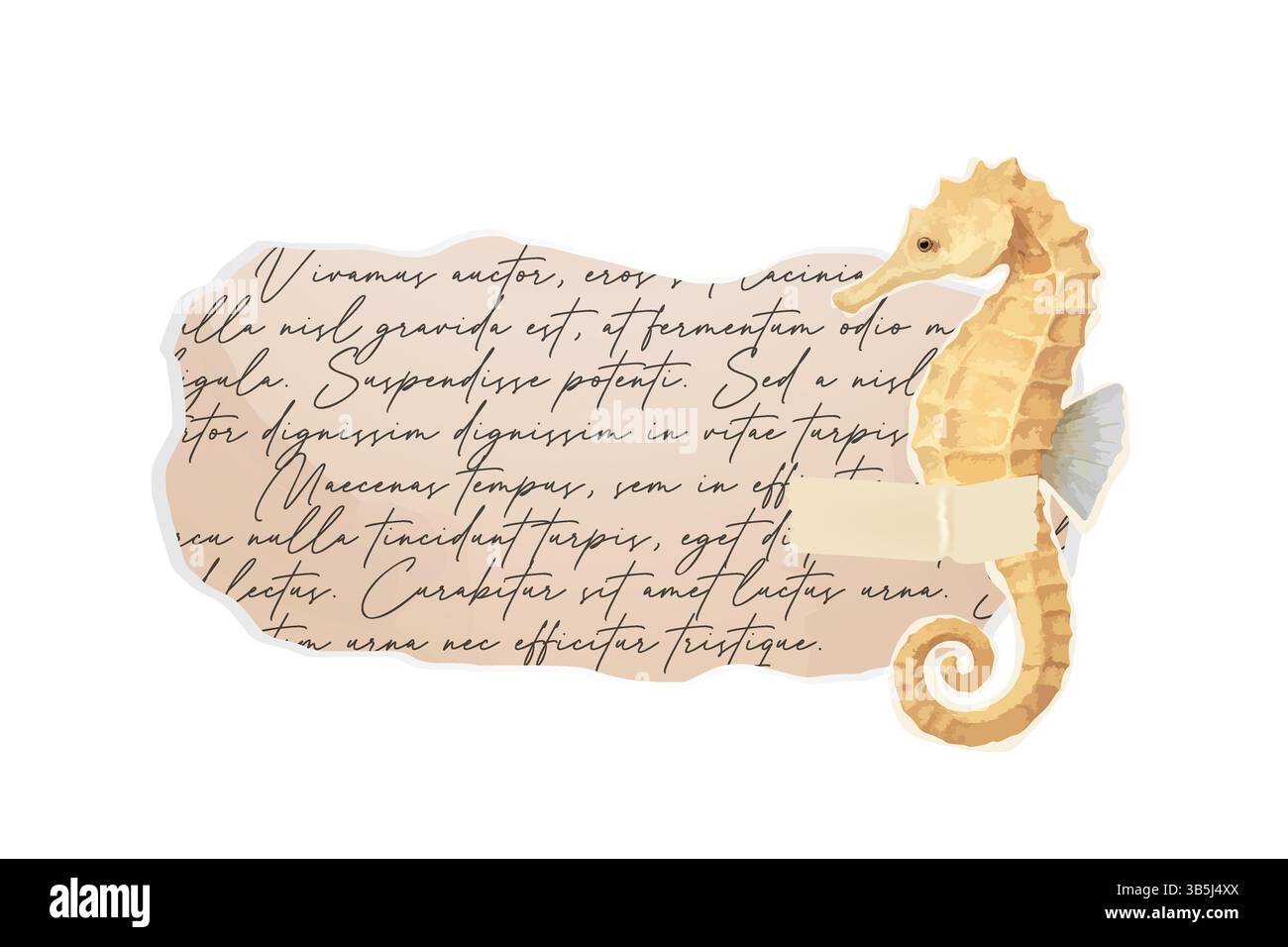 Ripped paper texture hi-res stock photography and images - Alamy