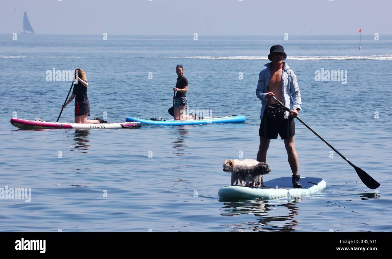 Maidencombe, Devon, UK. 2nd May, 2025. UK Weather: Doggy paddle on a ...