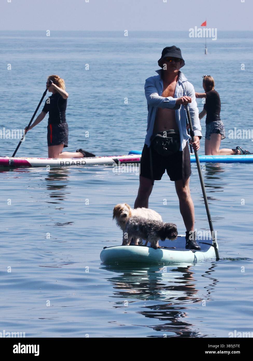 Maidencombe, Devon, UK. 2nd May, 2025. UK Weather: Doggy paddle on a ...