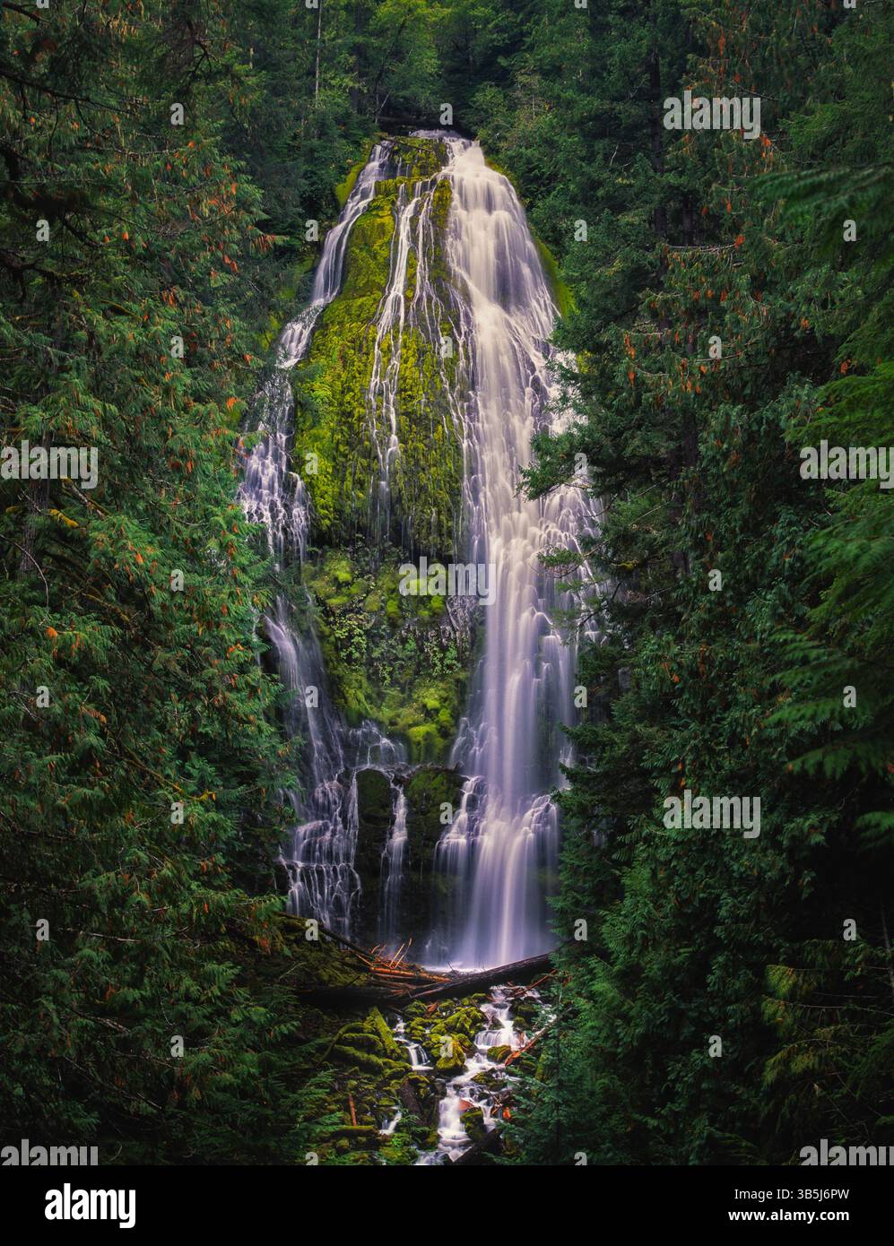 Lower Proxy Falls in spring. Three Sisters Wilderness. Oregon Stock Photo - Alamy
