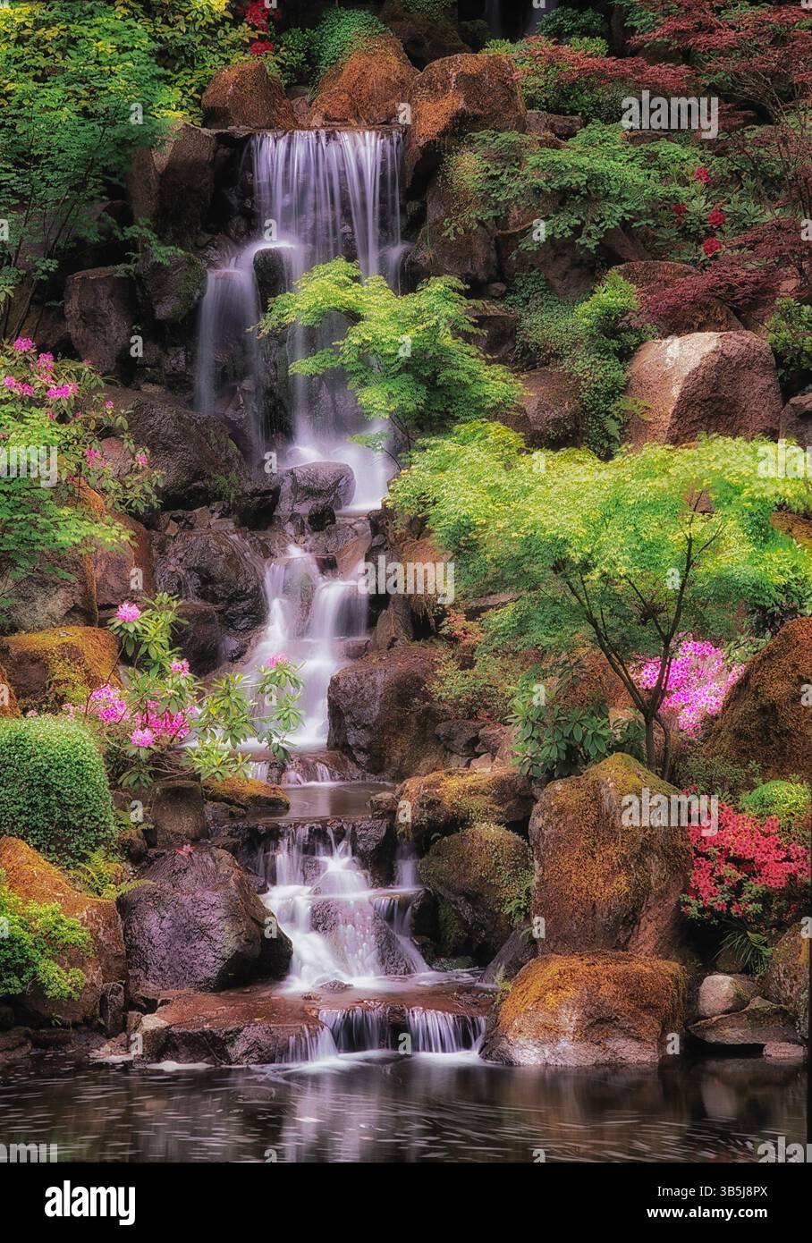 Waterfall with azaleas and rhododendrons. Japanese Gardens. Portland ...