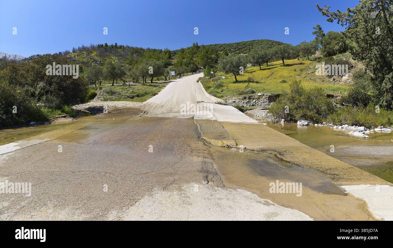Road through landscape with shallow water and olive trees, stream ...