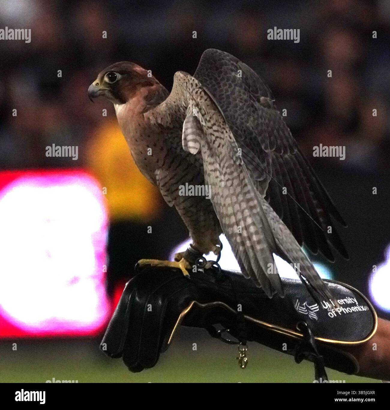 Rya circle hi-res stock photography and images - Alamy