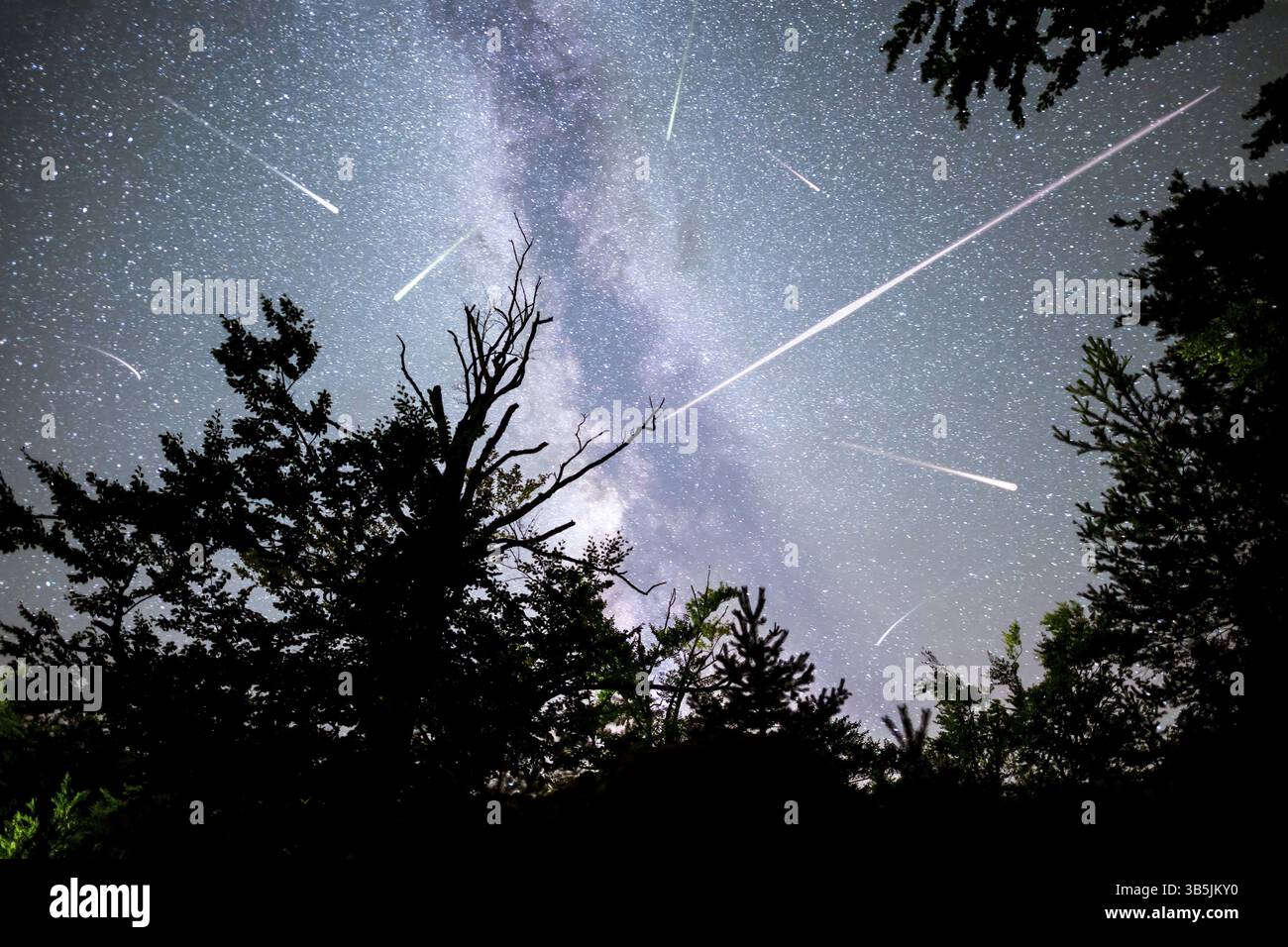 A view of a Meteor Shower and the Milky Way with trees forest ...