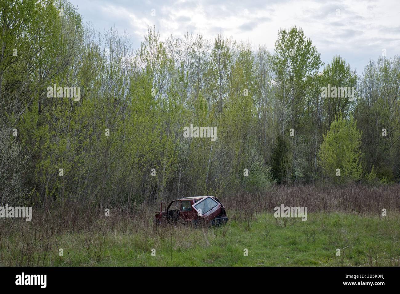 Old Fiat Panda car abandoned in the bush Stock Photo - Alamy