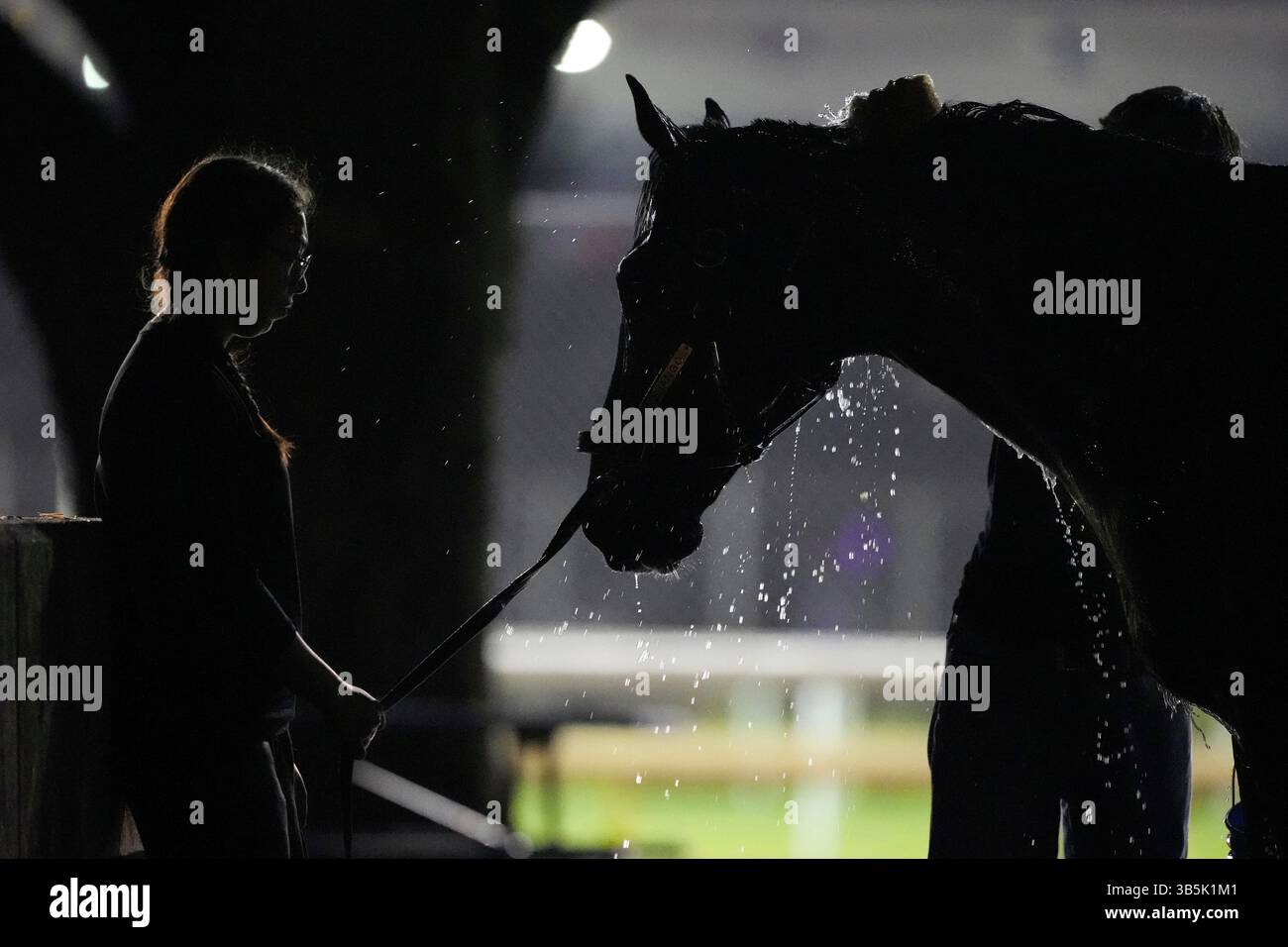 A horse gets a bath after a workout at Churchill Downs Friday, May 2, 2025, in Louisville, Ky ...