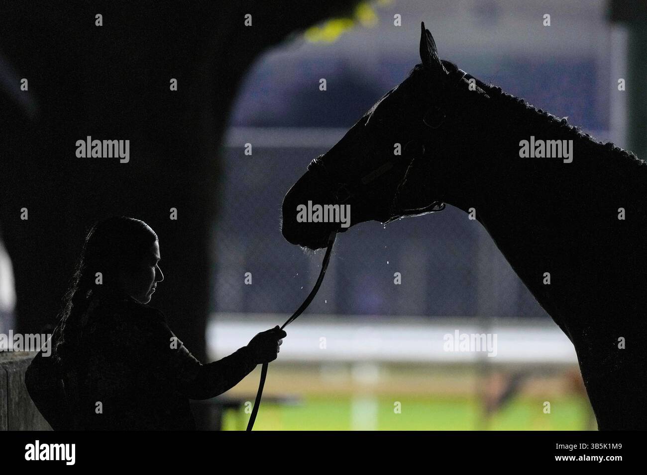 A horse gets a bath after a workout at Churchill Downs Friday, May 2, 2025, in Louisville, Ky ...