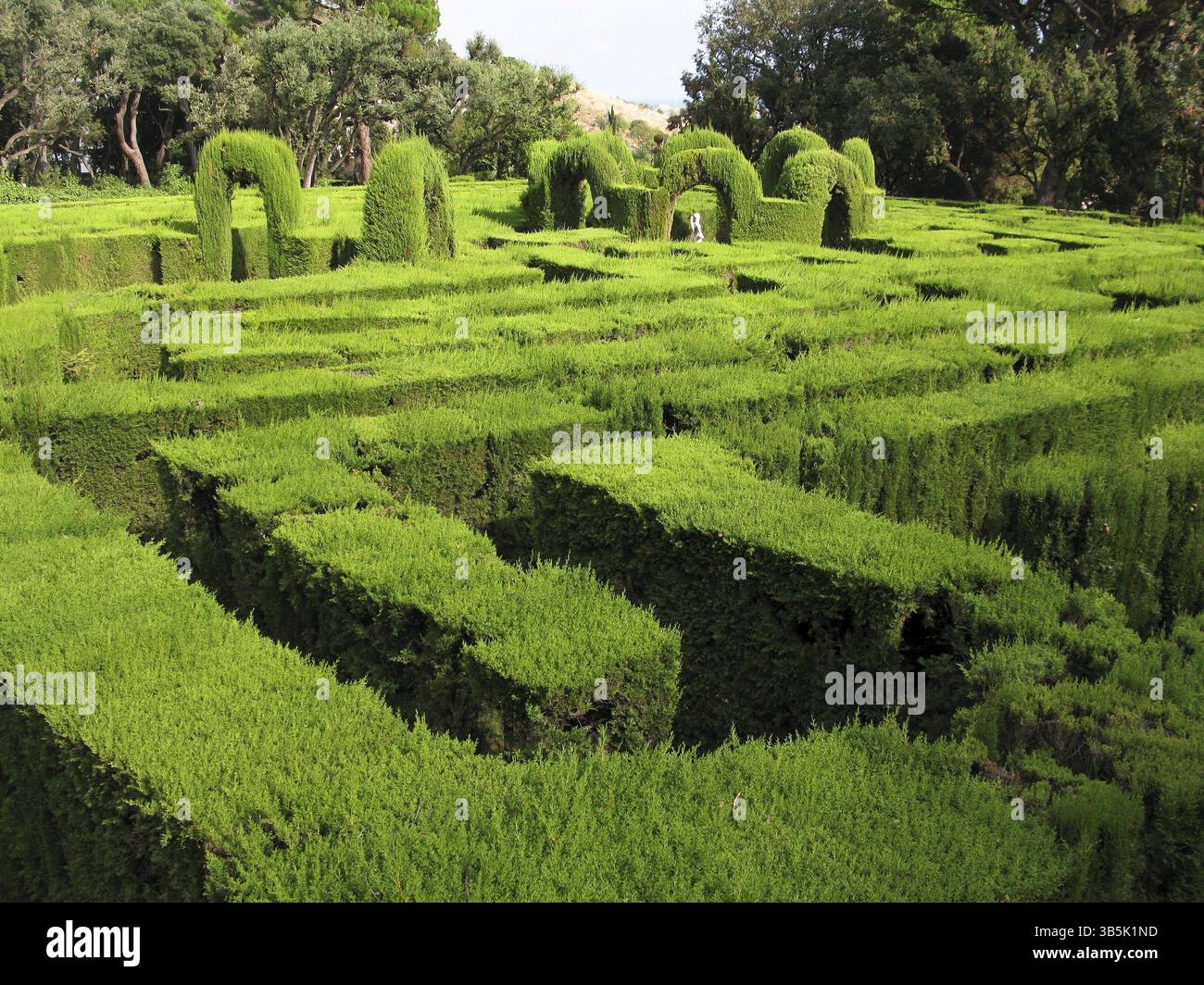Maze made of hedges in Barcelona, Spain, Europe Stock Photo - Alamy
