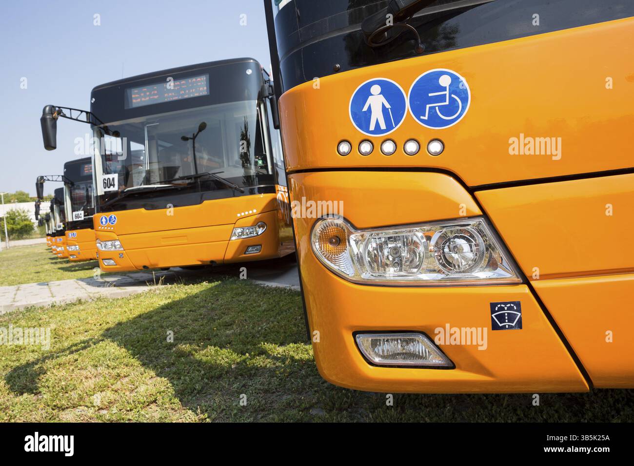 New modern busses for public transportation are shown in a row in a ...