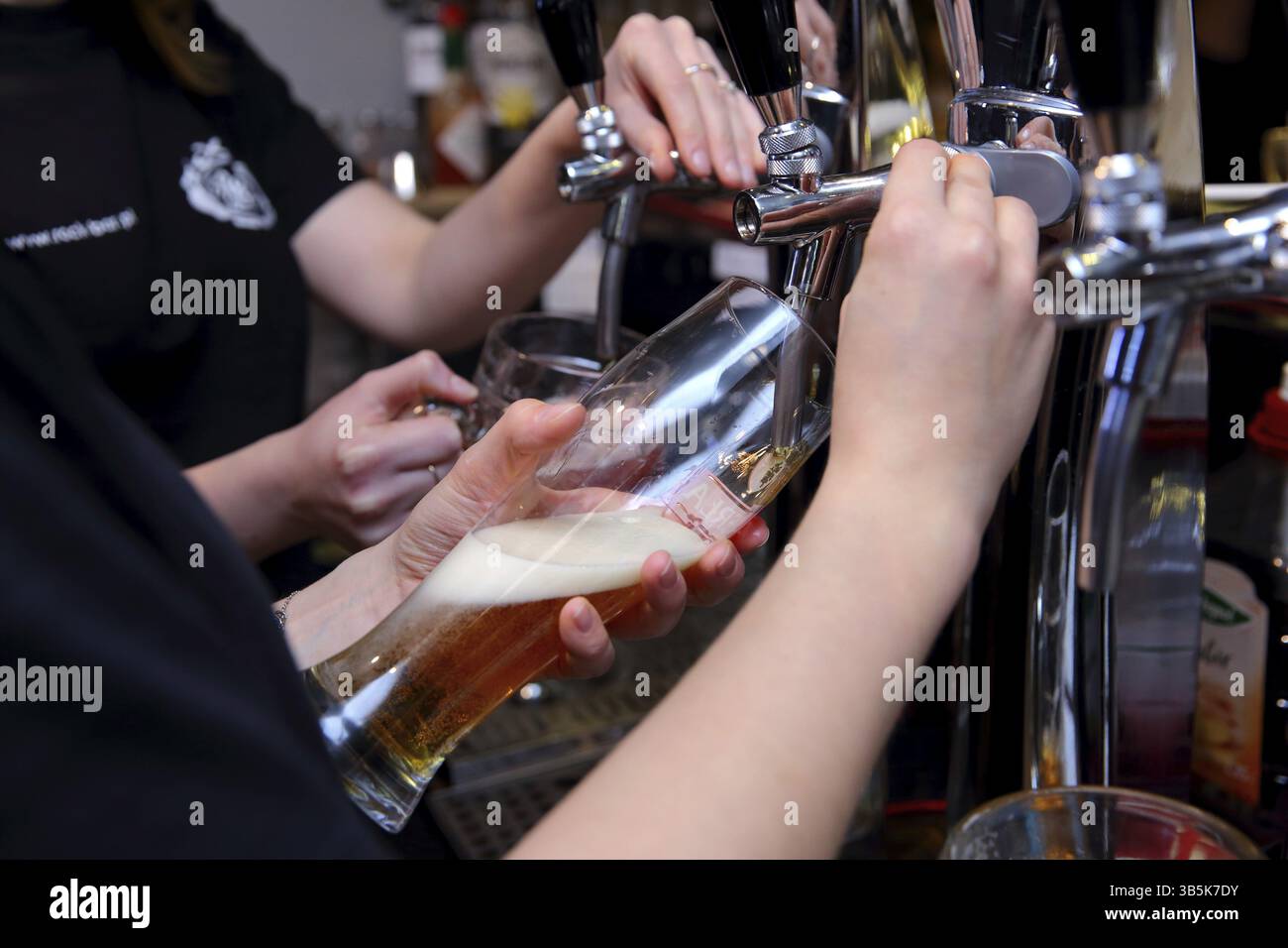 Bartender skillfully pours beer hi-res stock photography and images - Alamy
