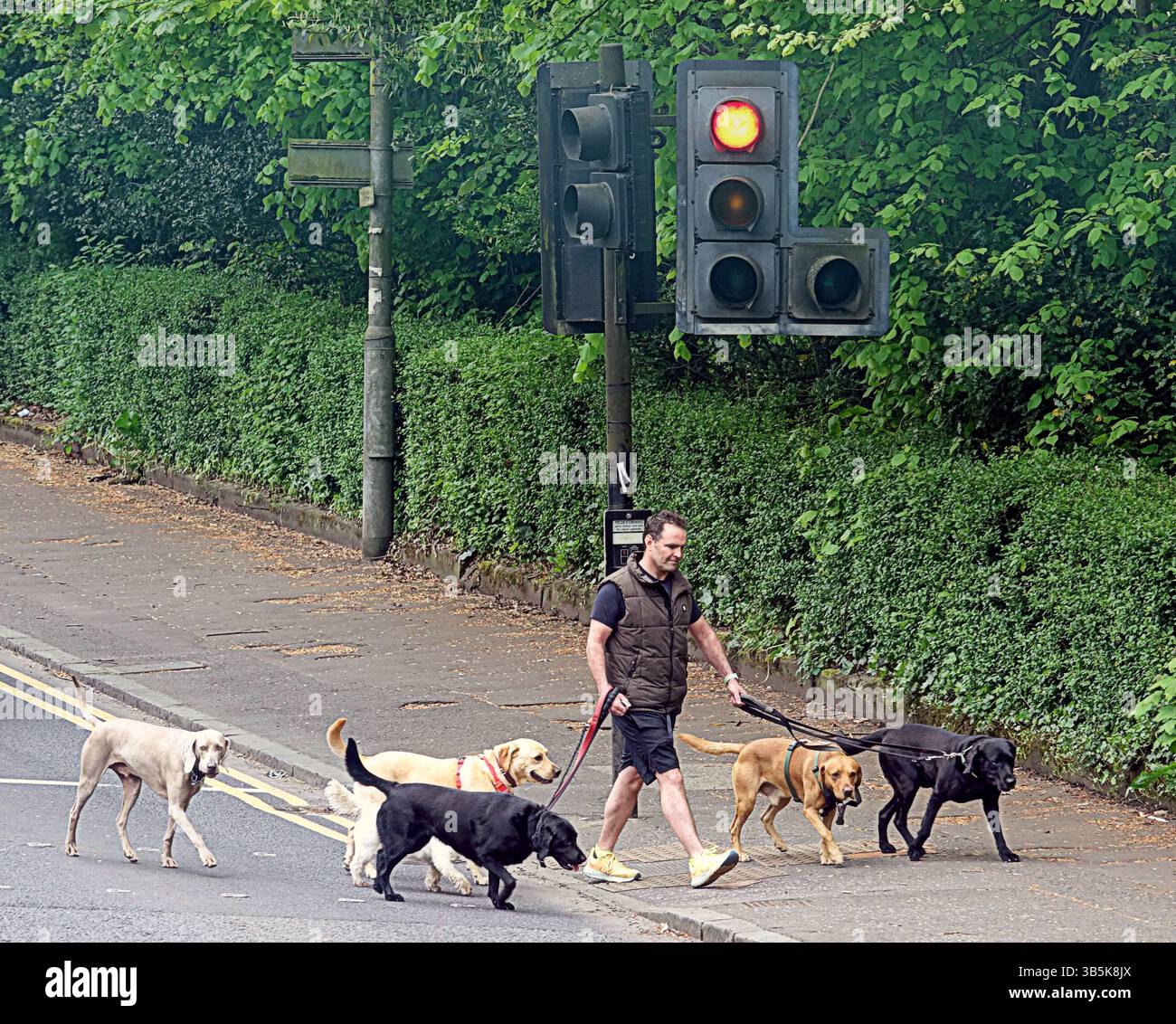 Glasgow, Scotland, UK. 2nd May April, 2025. UK Weather: Hot as locals ...