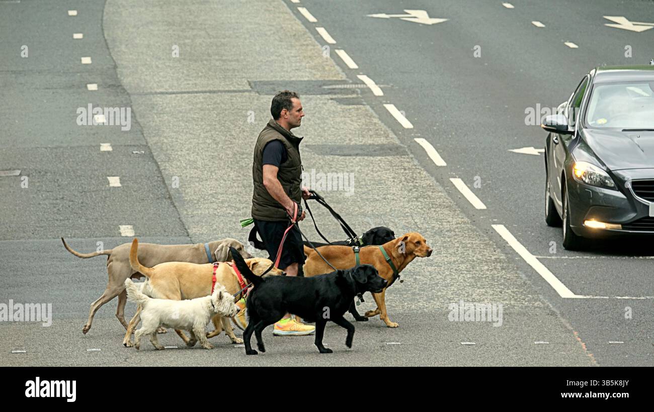 Glasgow, Scotland, UK. 2nd May April, 2025. UK Weather: Hot as locals ...