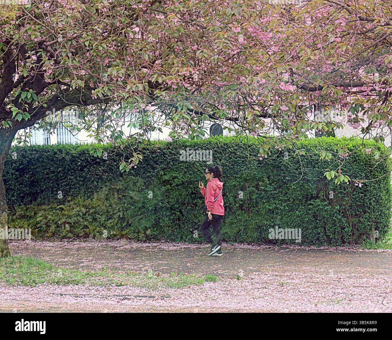 Glasgow, Scotland, UK. 2nd May April, 2025. UK Weather: Hot as locals ...