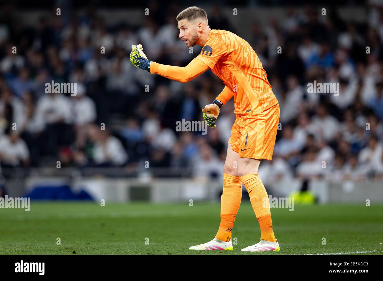 Guglielmo Vicario (1) of Tottenham Hotspur during the Tottenham Hotspur ...