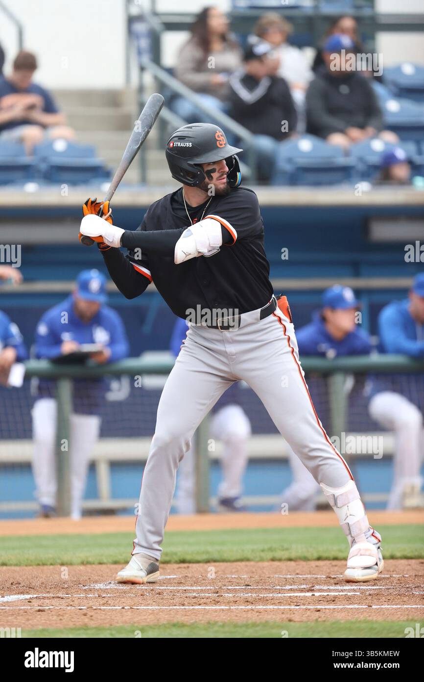 Lisbel Diaz (10) of the San Jose Giants bats against the Rancho ...