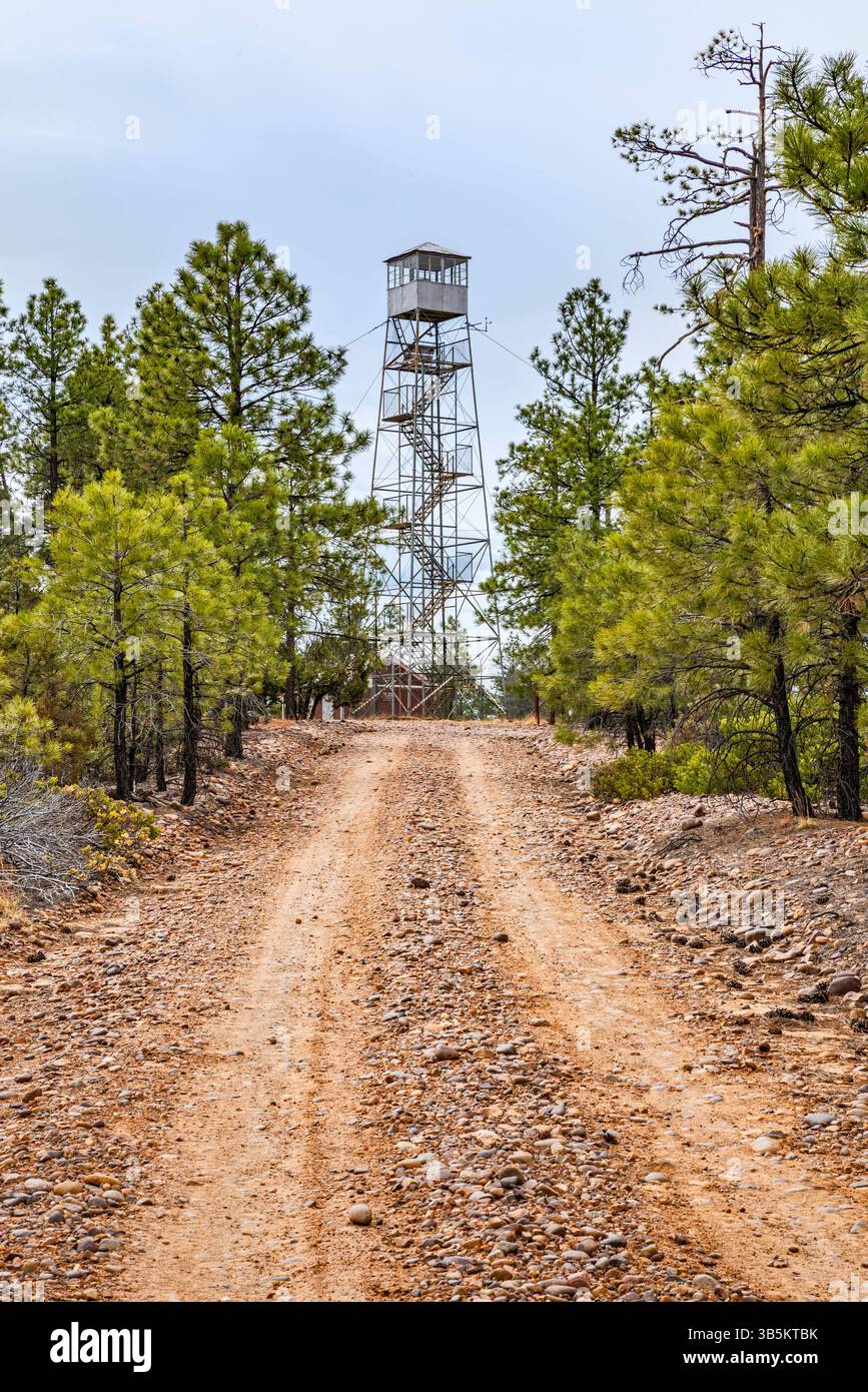 Deer Springs fire lookout tower, Mogollon Plateau over Mogollon Rim ...