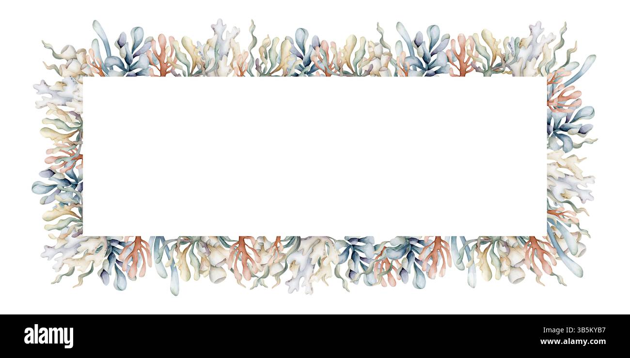 Seaweeds Algae Sea Corals Frame. Cute ocean marine underwater plants ...