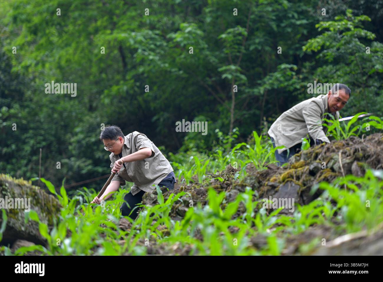 (250502) -- KUNMING, May 2, 2025 (Xinhua) -- Li Runnan (L) works with a ...