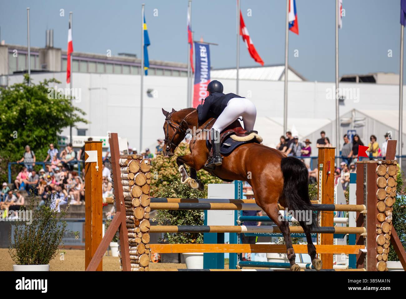 Maimarkt-Turnier Mannheim 2025, Springreiten: Preis der Mannheimer ...
