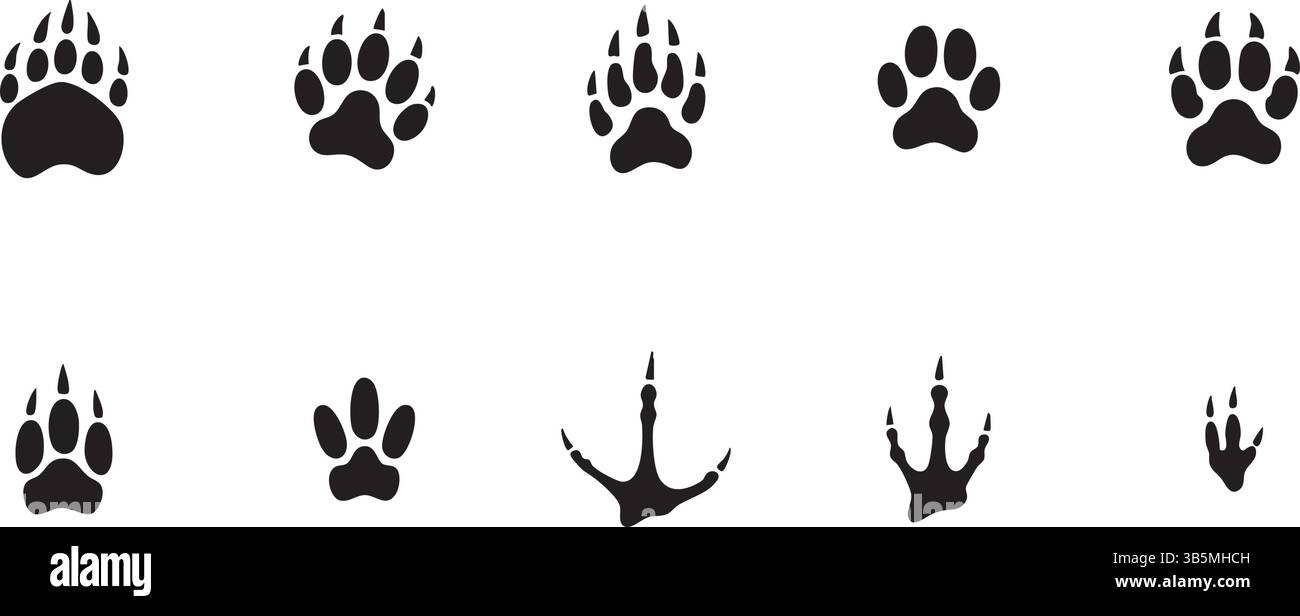 Animal Paw Prints Vector Illustration – Wildlife Tracking Icons for ...