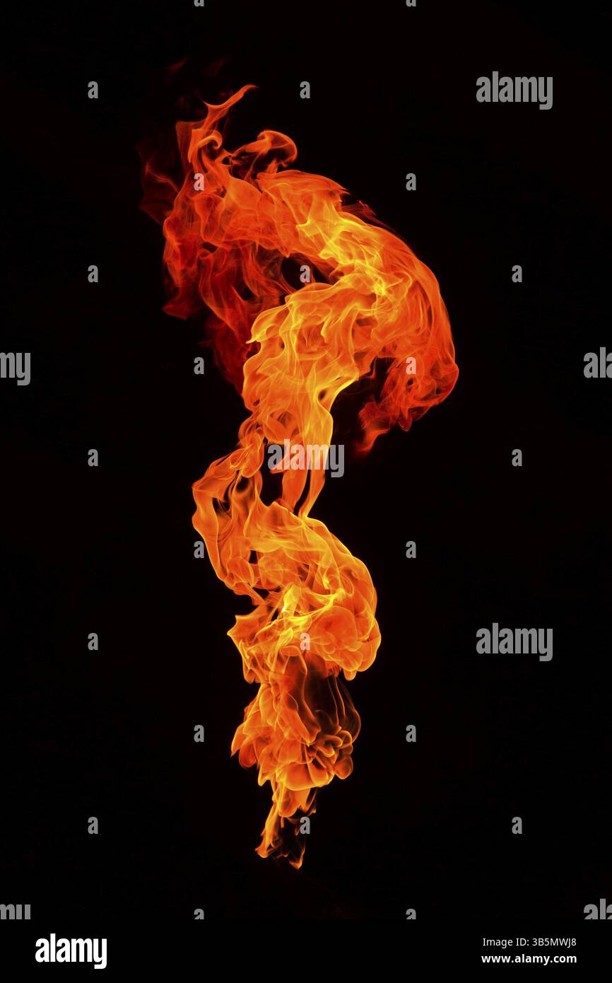 Burning flame isolated on a black background. Fire in red, orange and ...