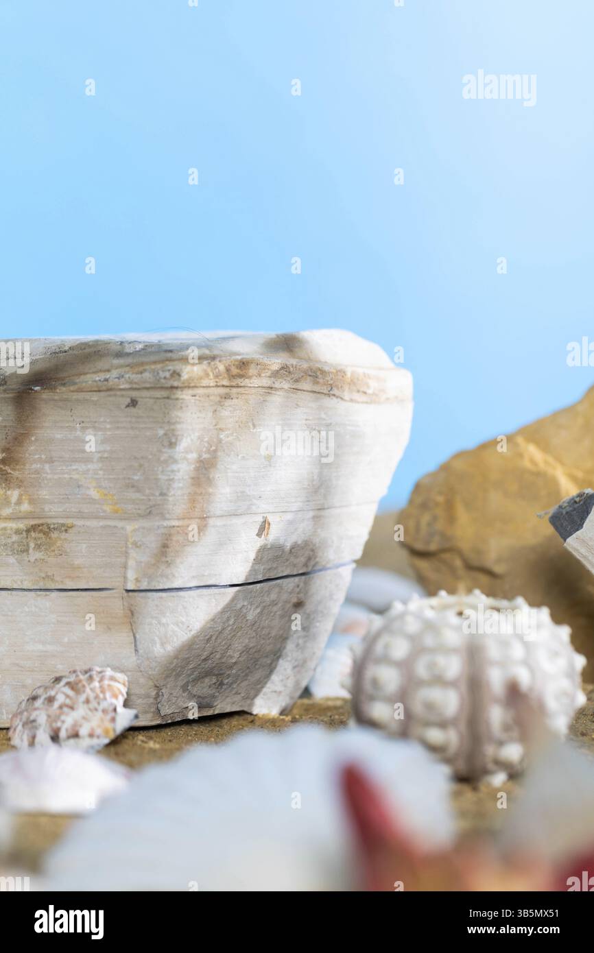 Blue sky limestone shells hi-res stock photography and images - Alamy