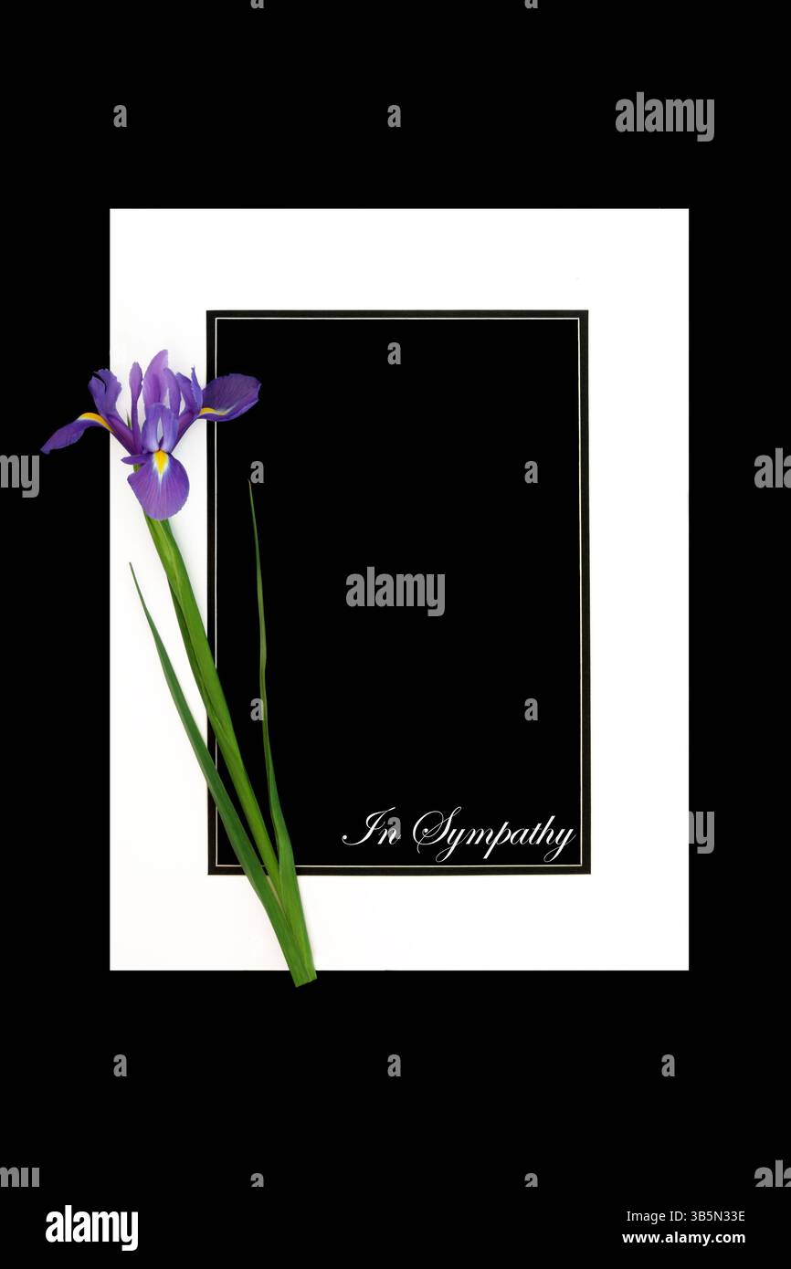 RIP in sympathy floral memorial background with iris flower on white ...